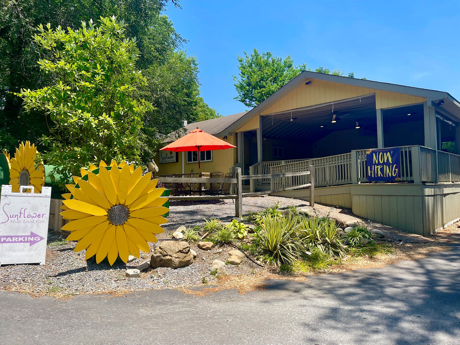12+ Things to Do in Berry Hill | Nashville, TN - Meredith Copeland